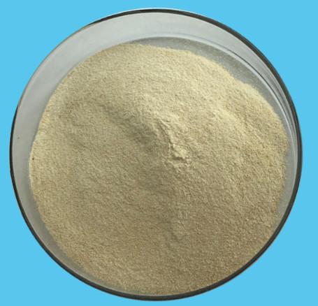 Quality CAS 9000-70-8 Stabilizing Agent PH6.5 Halal Gelatin Powder for sale