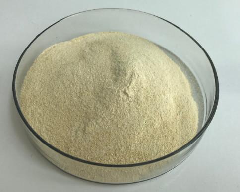 Quality CAS 9000-70-8 Stabilizing Agent PH6.5 Halal Gelatin Powder for sale