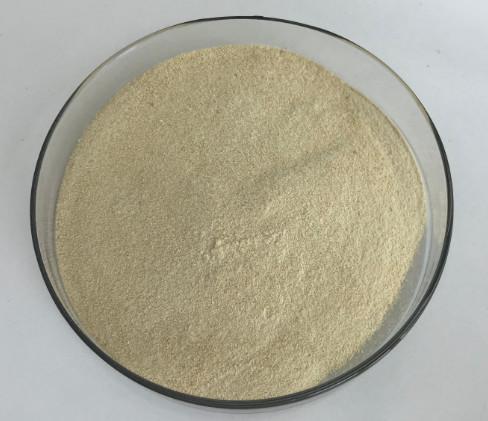 Quality CAS 9000-70-8 Stabilizing Agent PH6.5 Halal Gelatin Powder for sale