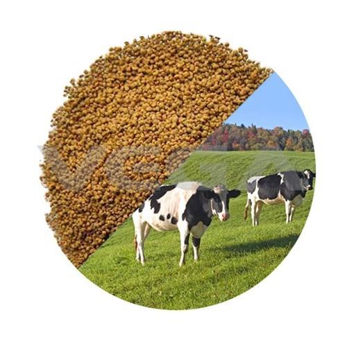 Quality Feed Grade 0.61g/Cm3 L Lysine Sulphate , CAS 657-27-2 Pure Amino Acids for sale