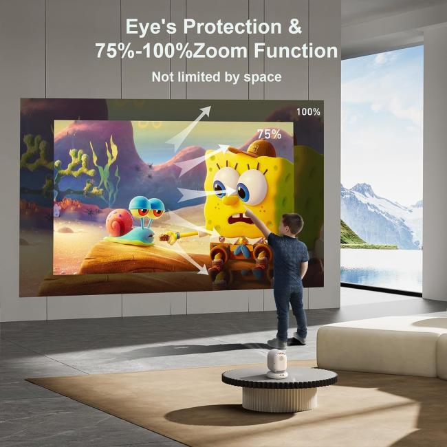 Projector connectivity options