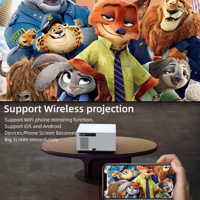 Projector connectivity options diagram