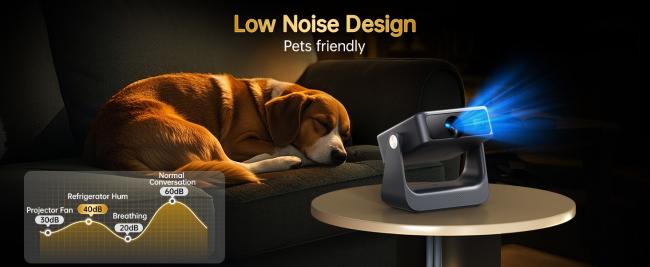 D2 Projector speaker system