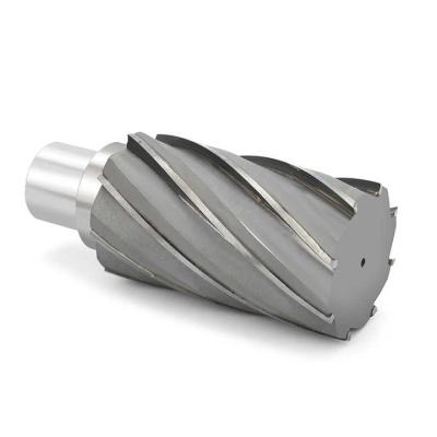 China 2 Flute Custom End Mills com revestimento NANO OEM Suporte de Recição Machining à venda