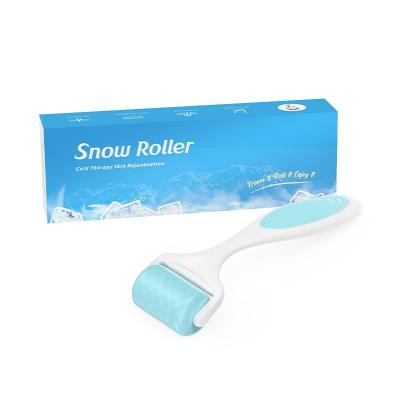 Cina Roller di ghiaccio in acciaio inossidabile ABS impermeabile per rimuovere le rughe nei saloni di bellezza in vendita