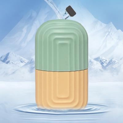 China Target Area No Plugs Type Silicone Ice Molds for Facial Cube Ice Roller Face and Body for sale