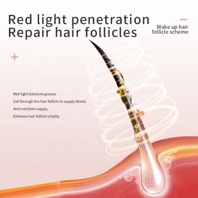Cina 4.7-8.6W spazzola per la crescita dei capelli pettine guida liquida con serbatoio d'acqua rimovibile e carica USB in vendita