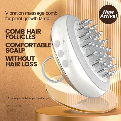 Cina Home Electric Laser Hair Growth pettine con manico di legno e plastica materiale acciaio bruste in vendita
