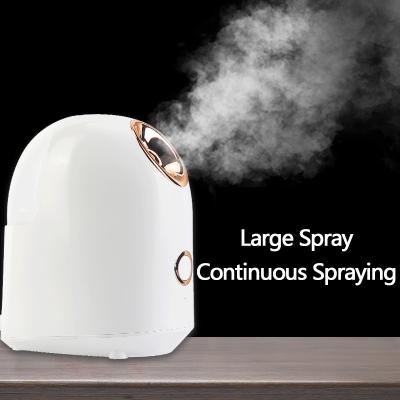 Cina Macchina commerciale multifunzione per la pulizia del viso con vaporizzatore portatile e funzione di illuminazione in vendita