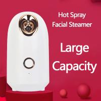 China Commercial Multifunction Facial Machine with Handheld Steamer and Lightening Function for sale