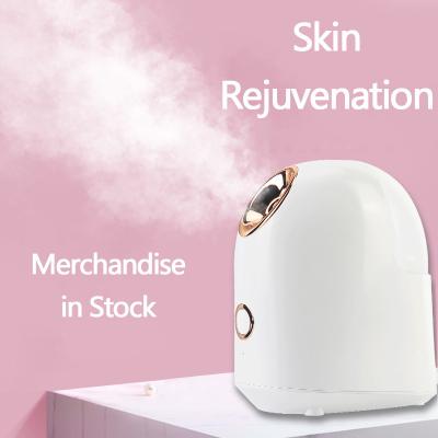 Cina Macchina commerciale multifunzione per la pulizia del viso con vaporizzatore portatile e funzione di illuminazione in vendita