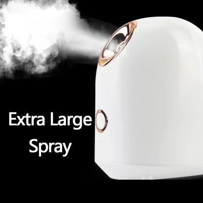 Cina Macchina commerciale multifunzione per la pulizia del viso con vaporizzatore portatile e funzione di illuminazione in vendita