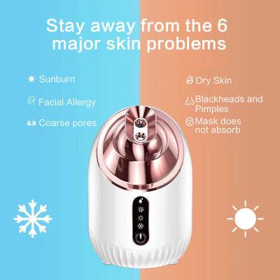 China Professional Facial Steamer Sauna Humidifier with Nano Technology and High Frequency 539g for sale