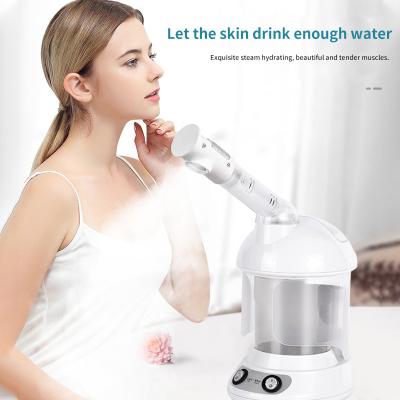 Cina Peso lordo 1300g 2023 Nuovo Nano Facial Steamer per salone Umidificatore Multifunzionale in vendita