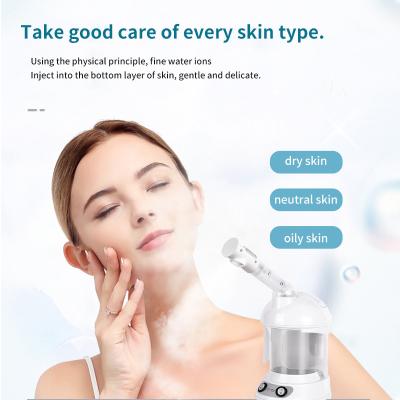 Cina Peso lordo 1300g 2023 Nuovo Nano Facial Steamer per salone Umidificatore Multifunzionale in vendita