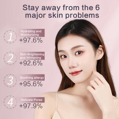 China Lichte en draagbare 4 in 1 gezichtsstoomstof Nano Mist Spray voor hydratatie Te koop