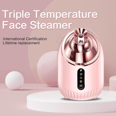China Lichte en draagbare 4 in 1 gezichtsstoomstof Nano Mist Spray voor hydratatie Te koop