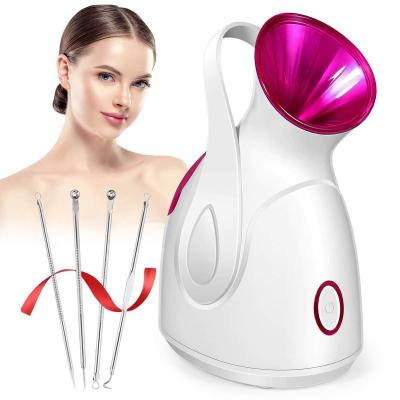 China Powerful Multifunction Home Facial Steamer with Ionic Operation System Beauty Solution for sale