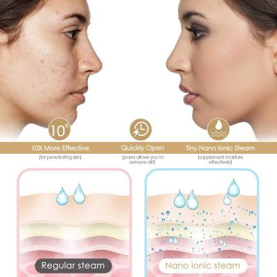Cina Potente multifunzione per il viso domestico con sistema di funzionamento ionico Soluzione di bellezza in vendita