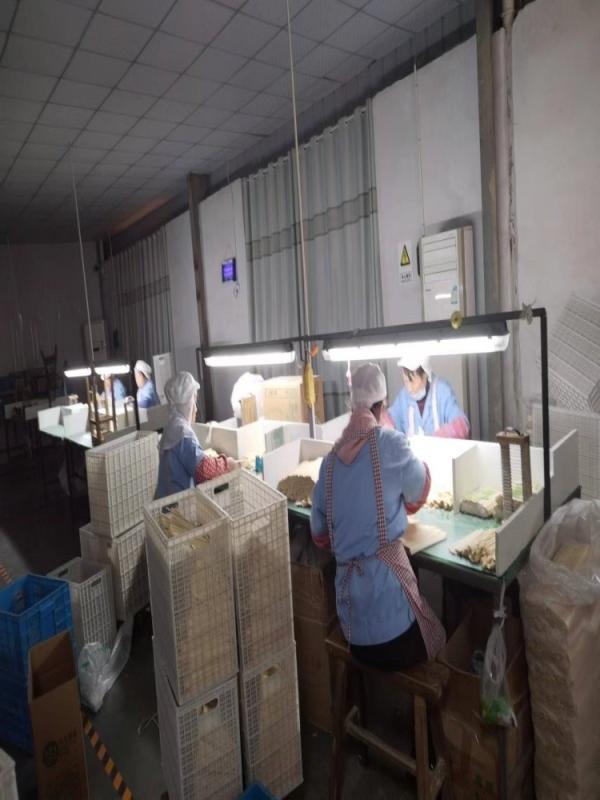 Verified China supplier - Hunan Shengheyuan Bamboo And Wood Products Import And Export Co., Ltd.