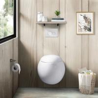China White Compact Concealed Cistern Low Level and Easy to Install for sale
