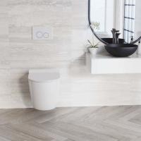 China Dual Flush Type Concealed Flush Tank for Wall Mounted Installation for sale