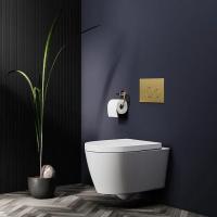 China Plastic Compact Concealed Cistern Space Saving For Bathrooms for sale