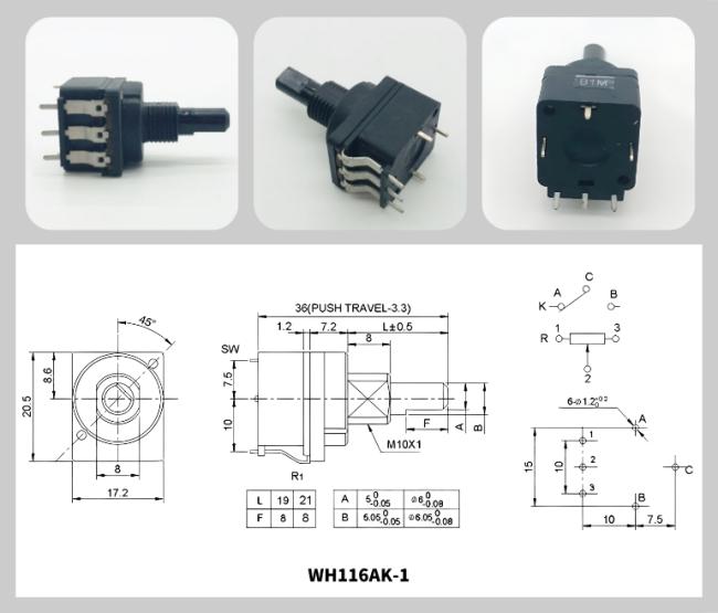 WH116AK potentiometer close-up