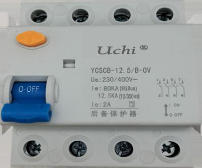 China 230VAC Surge Circuit Breaker , 12.5kA breaker with surge protection for sale