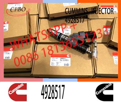 China De Motorinjecteur 4307547 van QSM11 ISM11 M11 4928517 4903472 3411756 3080429 2080429 Te koop