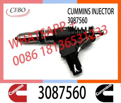 China Cummis N14-brandstofinjector 4307795 3087733 3095086 3411691 3411759 3411764 3411765 3411766 4307516 3083846 3087560 Te koop