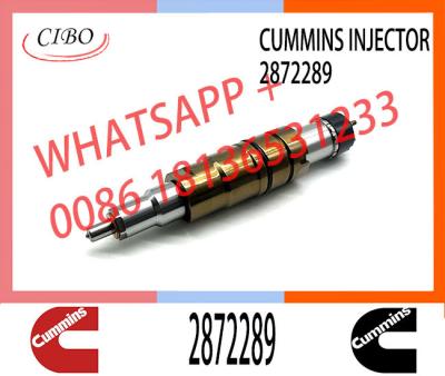 Chine Injecteurs de carburant diesel 2031835 575176 2872289 2872544 Pour les produits Cummins à vendre