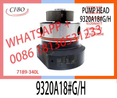 China High Quality Diesel Fuel Injection Pump DPA Head Rotor 7189-376L For 9320A02#G 9320A07#G 9320A18#G/H for sale