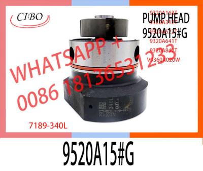 Cina Pompa di iniezione di carburante diesel di alta qualità DPA rotore 7189-340L per 9520A15#G in vendita