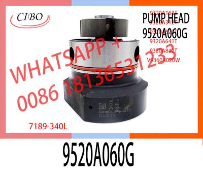 China High Quality Diesel Fuel Injection Pump DPA Head Rotor 7189-340L For 9520A060G for sale