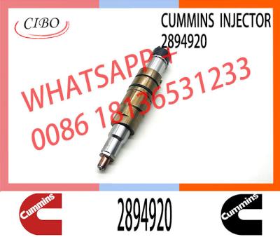 Cina Iniezione di carburante comune 2897320 2872405 2086663 2894920 2482244 2488244 4327147 2872056 2872284 Per motori diesel in vendita