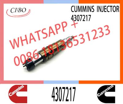 Cina Iniezione di carburante 2894920 2031836 1874425 1881565 1933613 2086663 4307217 2031835 2872544 2897320 1933613 Per cum-min in vendita