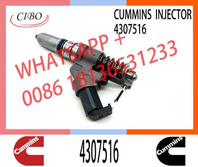 Cina Iniezione di carburante per motori diesel 3083849 3087557 4307516 3411845 3411754 3411755 4928517 Per QSM11 ISM11 M11 in vendita