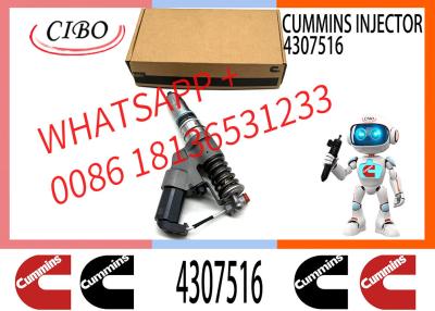 Cina Nozzolo di combustibile diesel 4307525 3083863 3411752 3411761 4307547 4928171 3411753 Per cum-min M11 in vendita