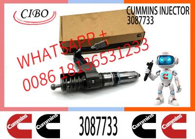 Cina Iniettore di carburante diesel N14 Iniettore comune 3087560 3411752 3411765 3411765 3087733 3095086 3411767 in vendita
