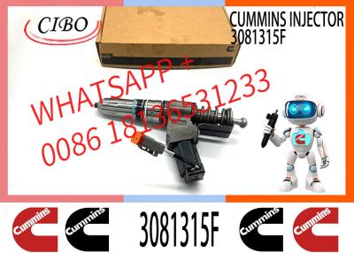 中国 燃料注入器組 3081315F 3411759 4384360 3411762 4307516N 3411767T 3407776 3087807 カムミンスエンジンN14 販売のため