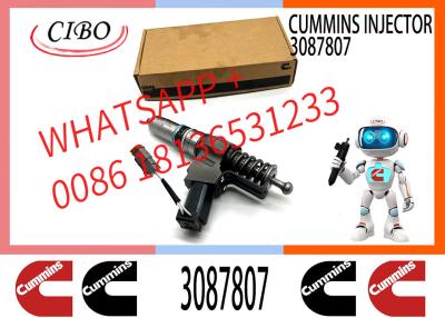 中国 燃料注入装置 3087807 3411766F 3080931F 3087733 3095086 3087558F 4307795 6087807 カムミンスエンジンN14 販売のため