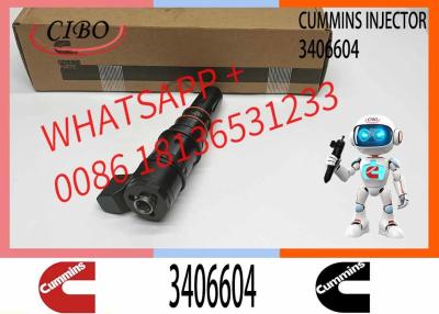 China PT Fuel System Diesel Fuel Injector 3406604 For Cummins Construction Engine M11-C350 3 for sale