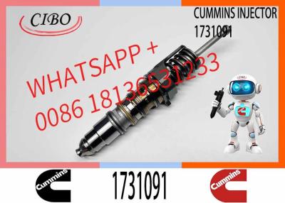 Cina Fabbricazione di apparecchi per la pompa del carburante diesel in vendita