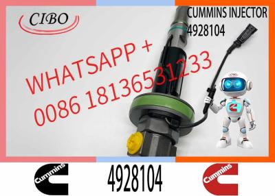 Cina NINE MARCA Iniezione di alta qualità 4928104 Qsk19 Iniezione Iniezione di carburante 4928104 in vendita