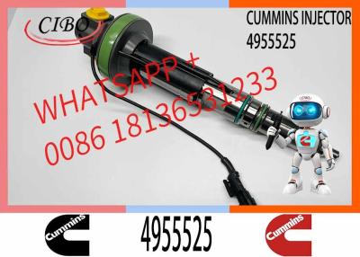 Cina 4964171 4955525 iniettore di combustibile diesel del motore diesel QSK19 QSK38 QSK50 QSK60 4964171 4955525 in vendita