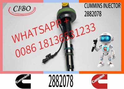 Cina NINE BRAND iniettore diesel di alta qualità 2882078 Qsk19 iniettore iniettore di carburante 2882078 in vendita
