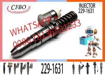 China Diesel injector  150-4453 162-8809 162-8813 192-2817 204-2067 229-1631 245-8272 246-1854 250-1311 250-1302 for sale