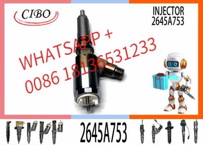 Chine Injecteur de carburant diesel 2645A753 295-9130 382-0480 282-0490 292-3780 306-9380 306-9390 310-9067 à vendre