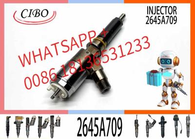 중국 일반 철도 연료 2645A709 292-3780 306-9380 306-9390 310-9067 2645A751 320-0655 판매용